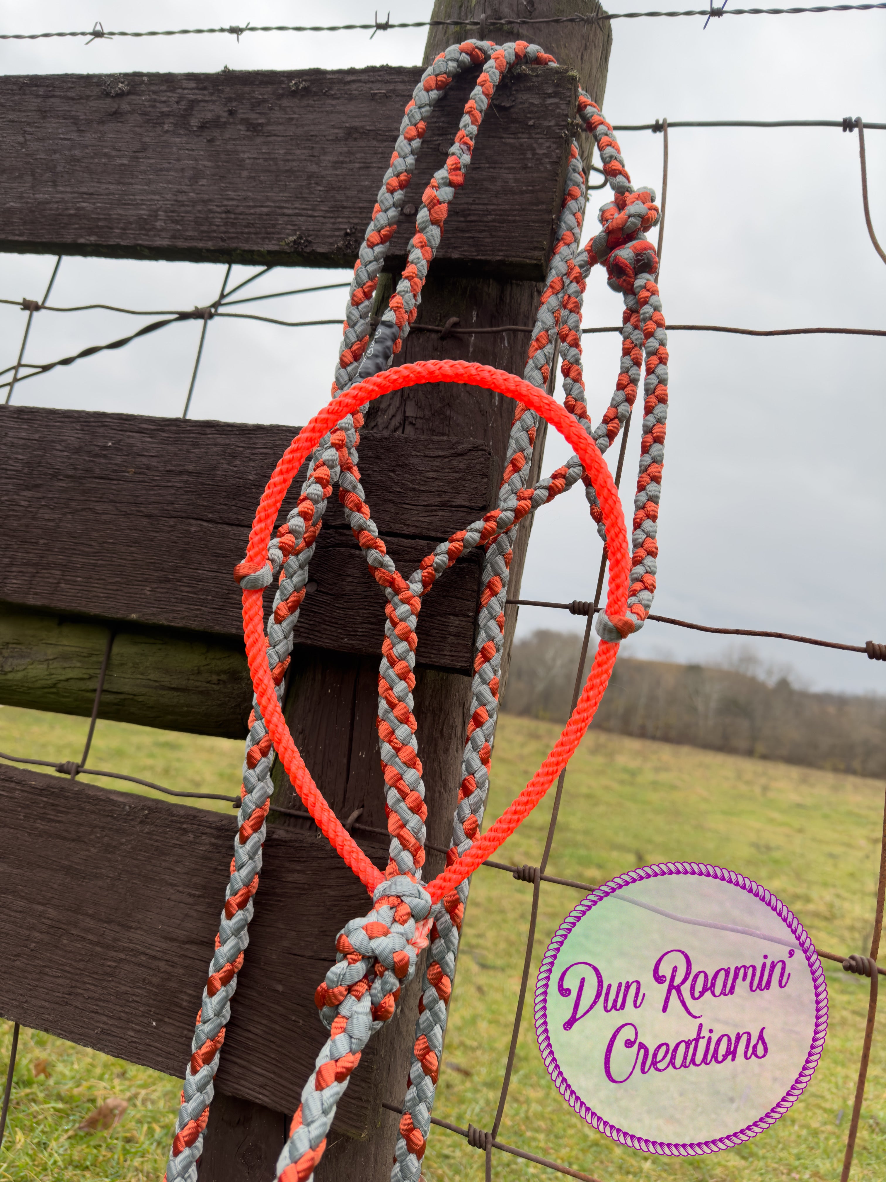 Mule Tape Halter with Lariat Rope Noseband – Dun Roamin' Creations