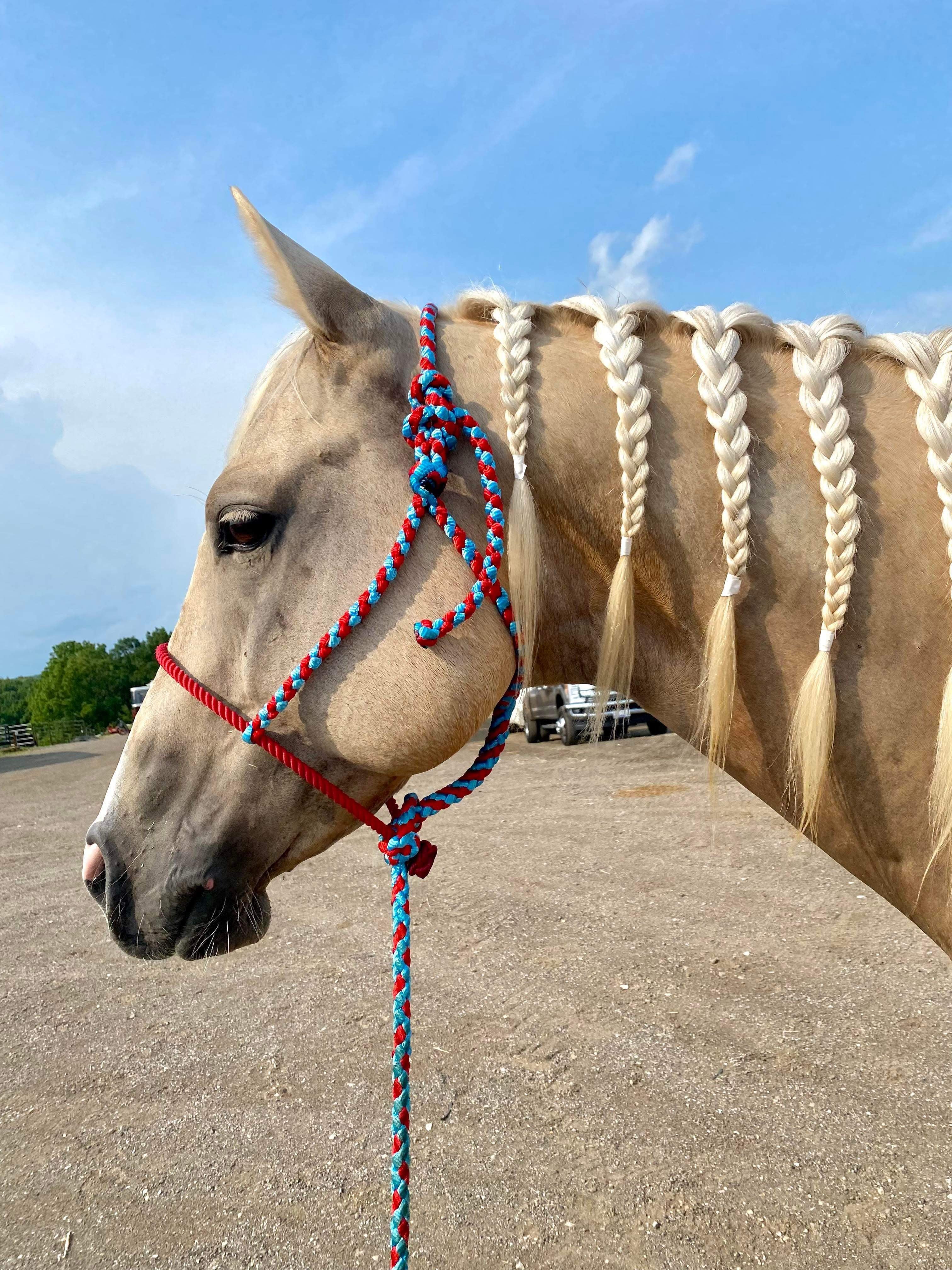 *CUSTOM ORDER* Lariat Rope Nose Mule Tape Halter – Dun Roamin' Creations
